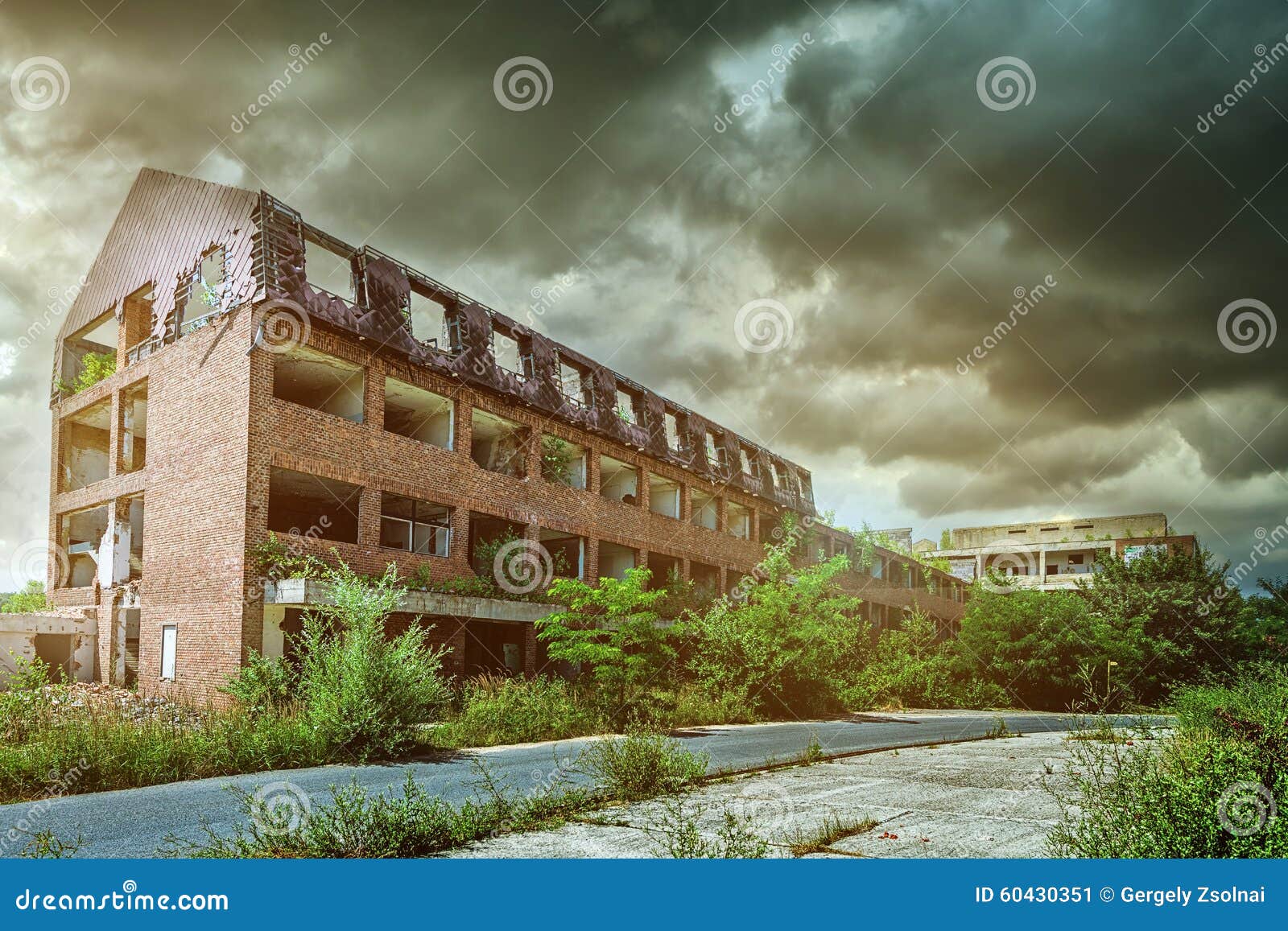 Old Ruined Building In The Forest Royalty-Free Stock Photo ...