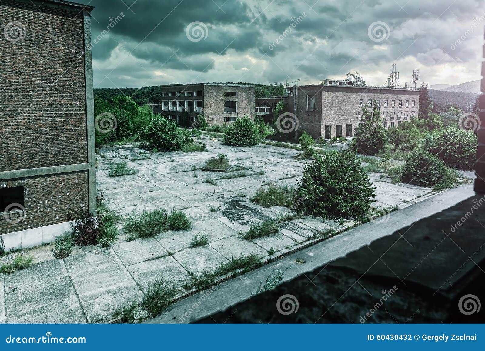 Old Ruined Building In The Forest Royalty-Free Stock Photo ...