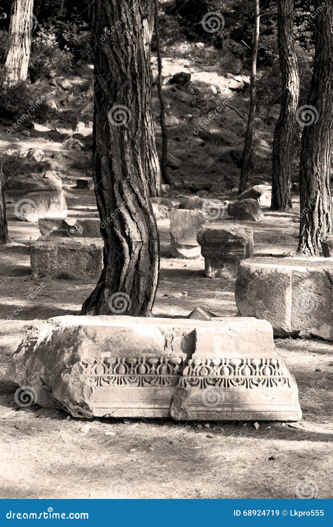 Destroyed Column And Walls Of An Ancient Fort Overgrown With Banyan ...