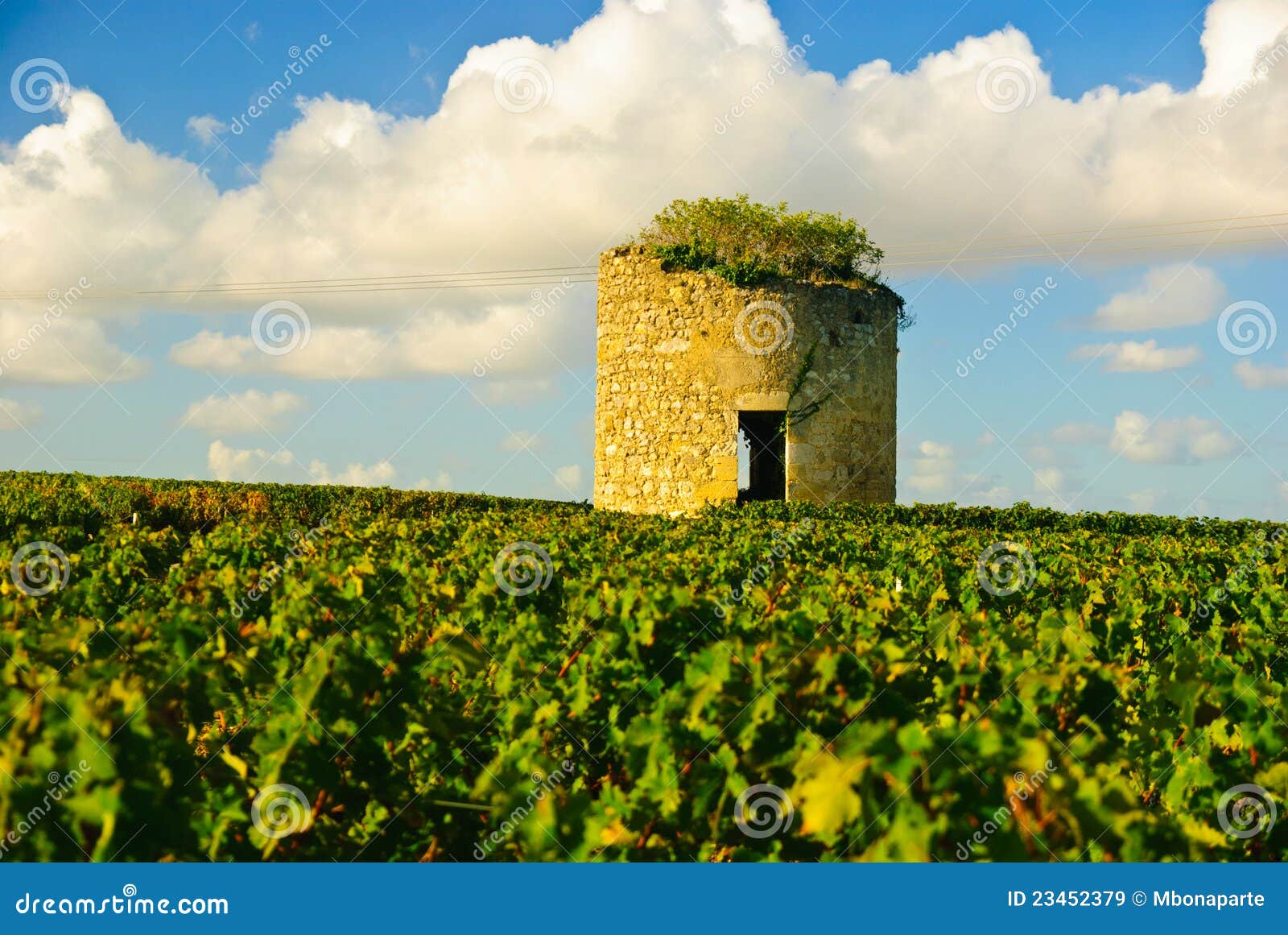 Old Ruined Medieval Tower in Vineyard in Medoc Stock Image - Image of ...