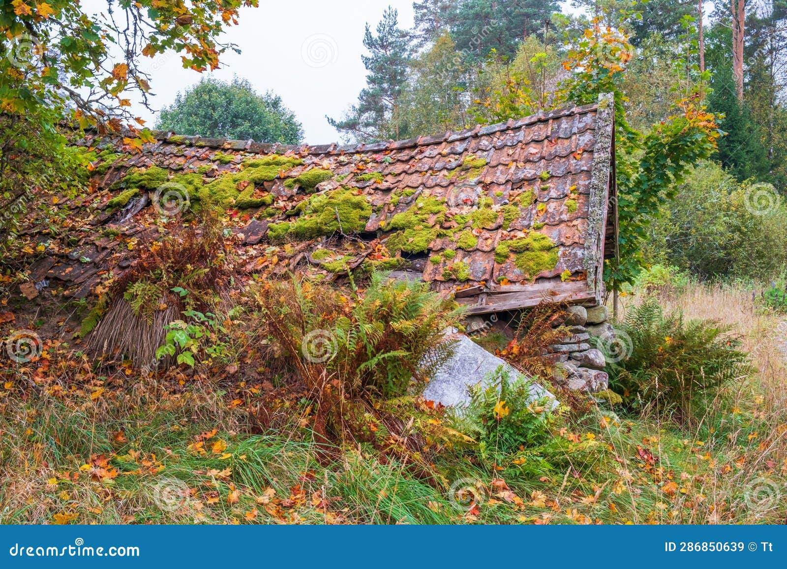 Old Ruined Root Cellar in a Rural Landscape Stock Image - Image of ...