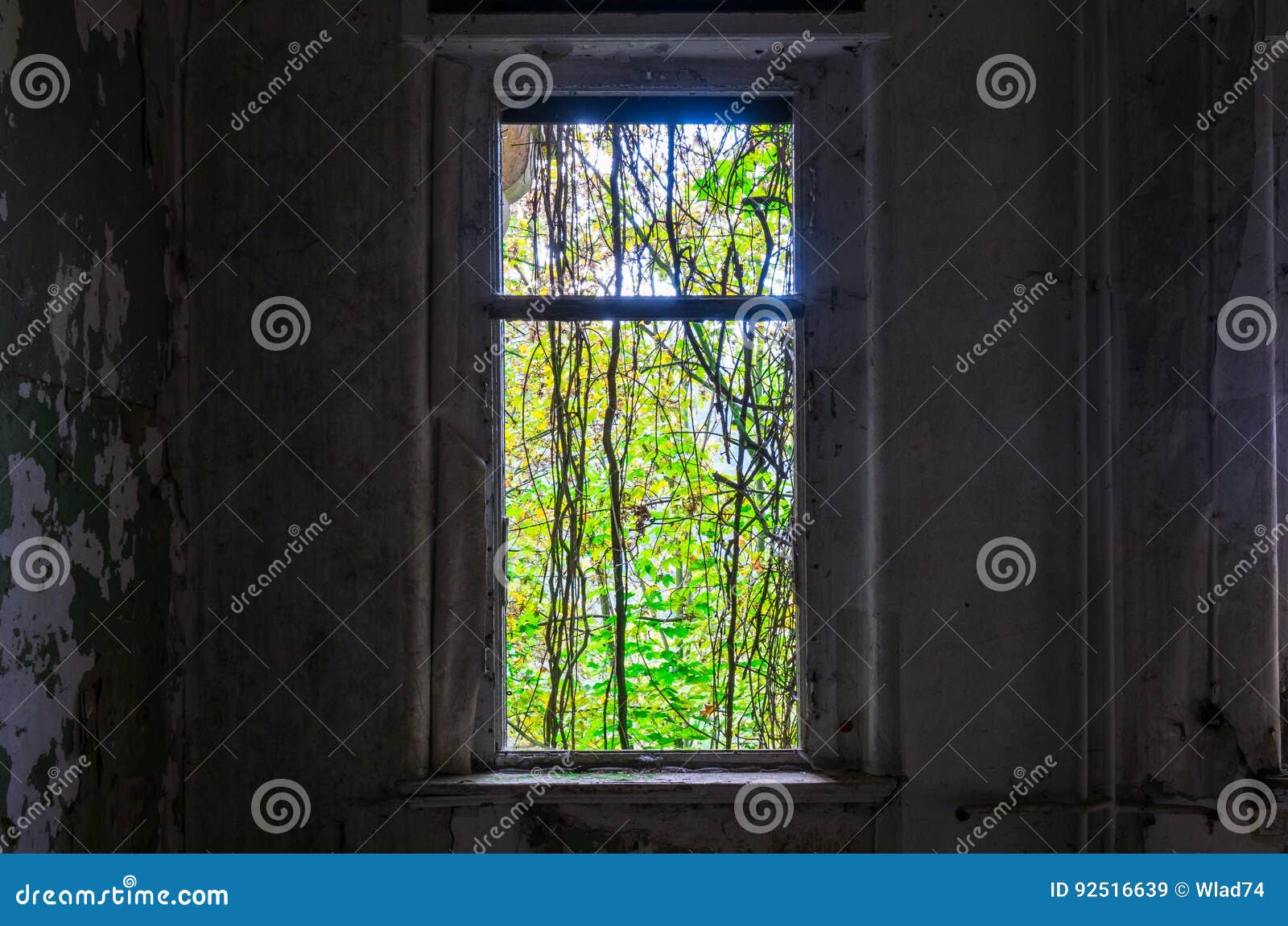 The Old and Ruined Widow of Building, Lost Places Stock Image - Image ...