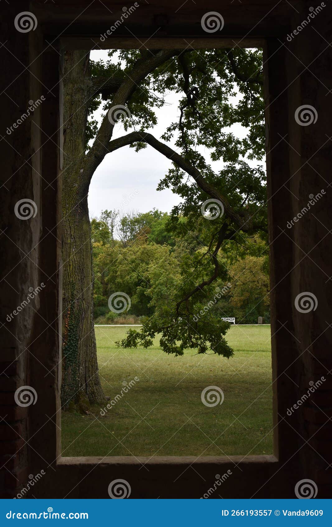 Old Ruined Windows Overlooking Trees Stock Image - Image of austria ...