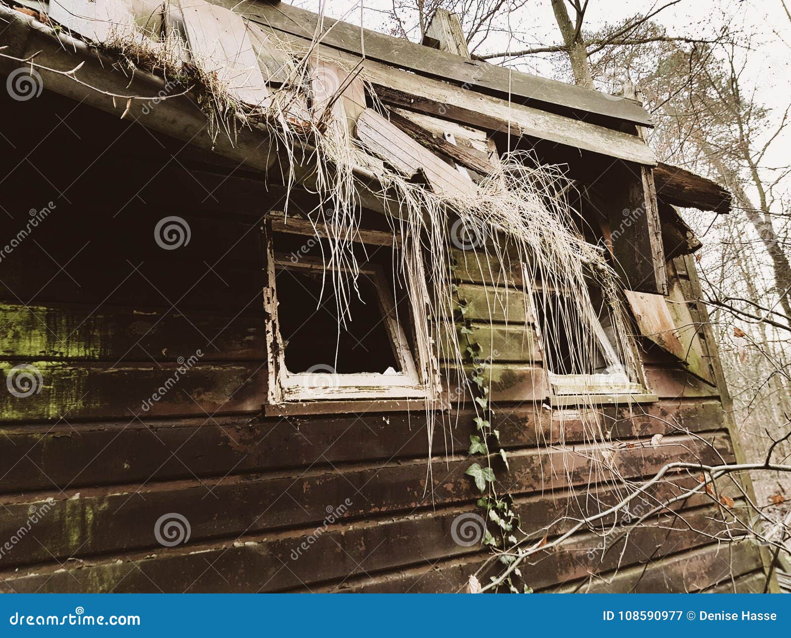 Old ruins decay and leave stock image. Image of windows - 108590977