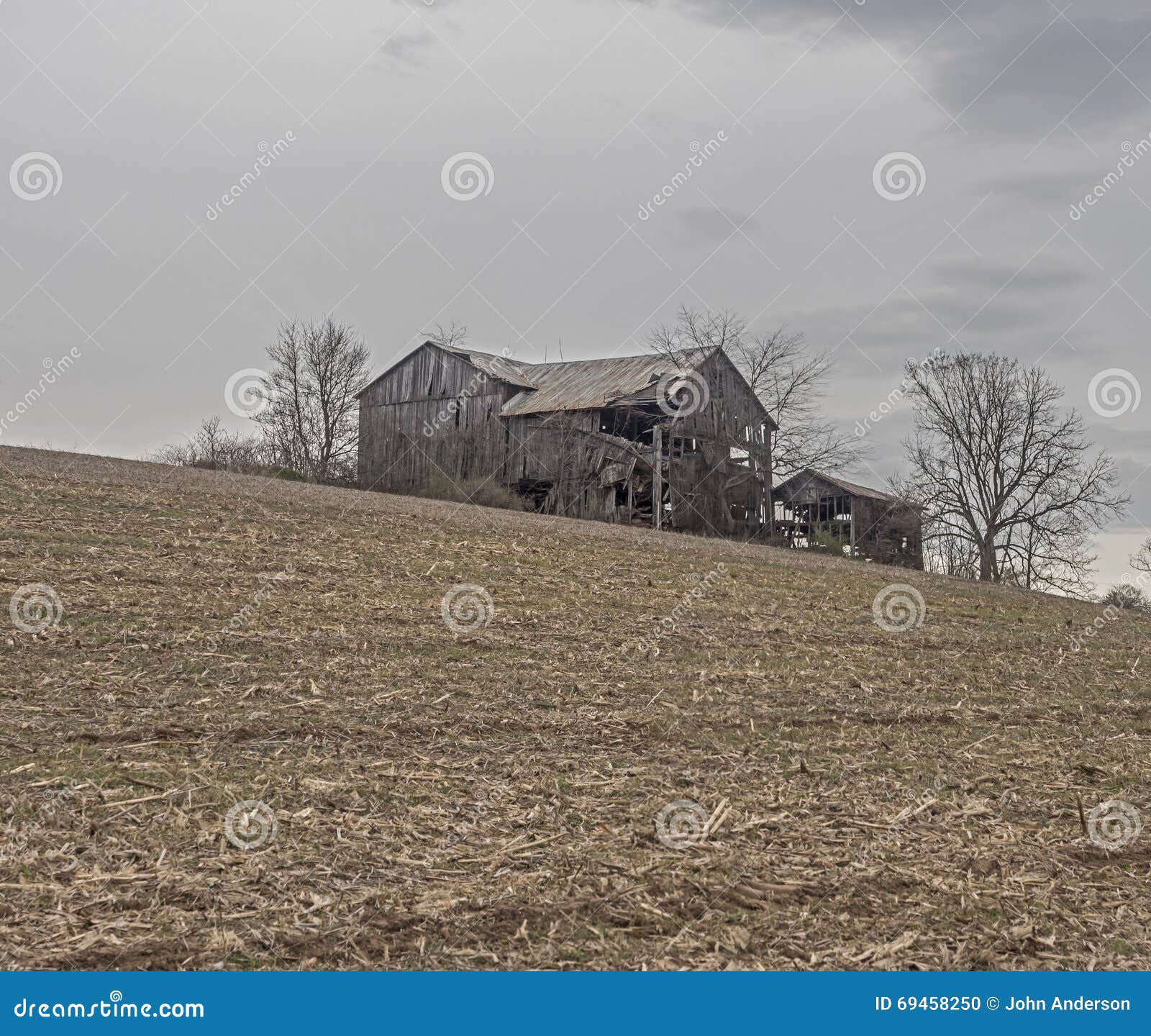 Old run down Barn stock photo. Image of tree, barn, morning - 69458250