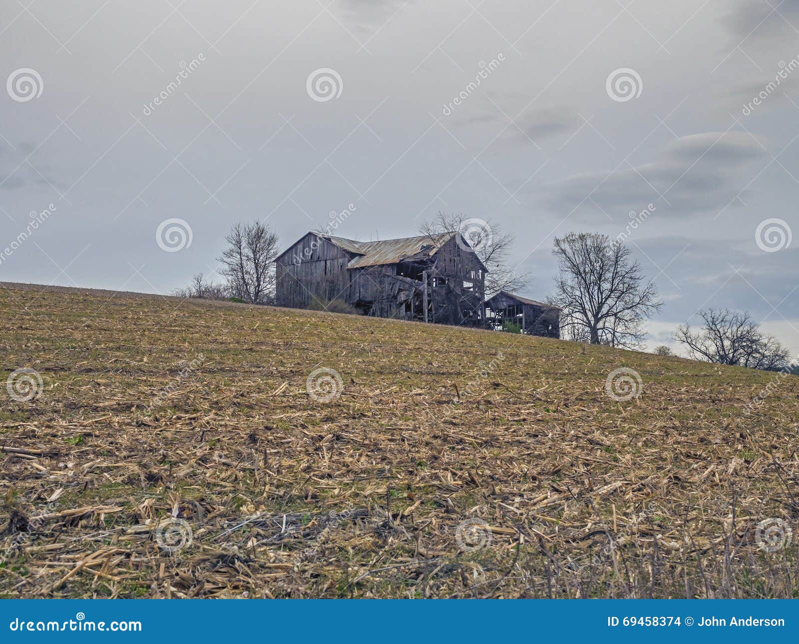 Old run down Barn stock photo. Image of morning, early - 69458374