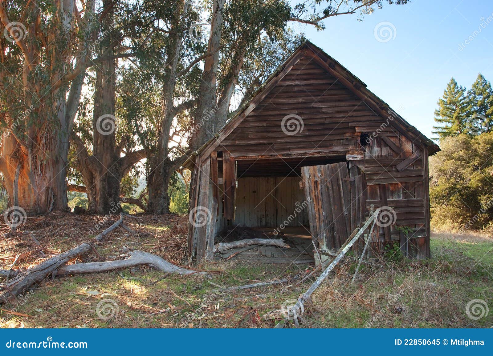 Old run down cabin stock image. Image of frontier, golden - 22850645