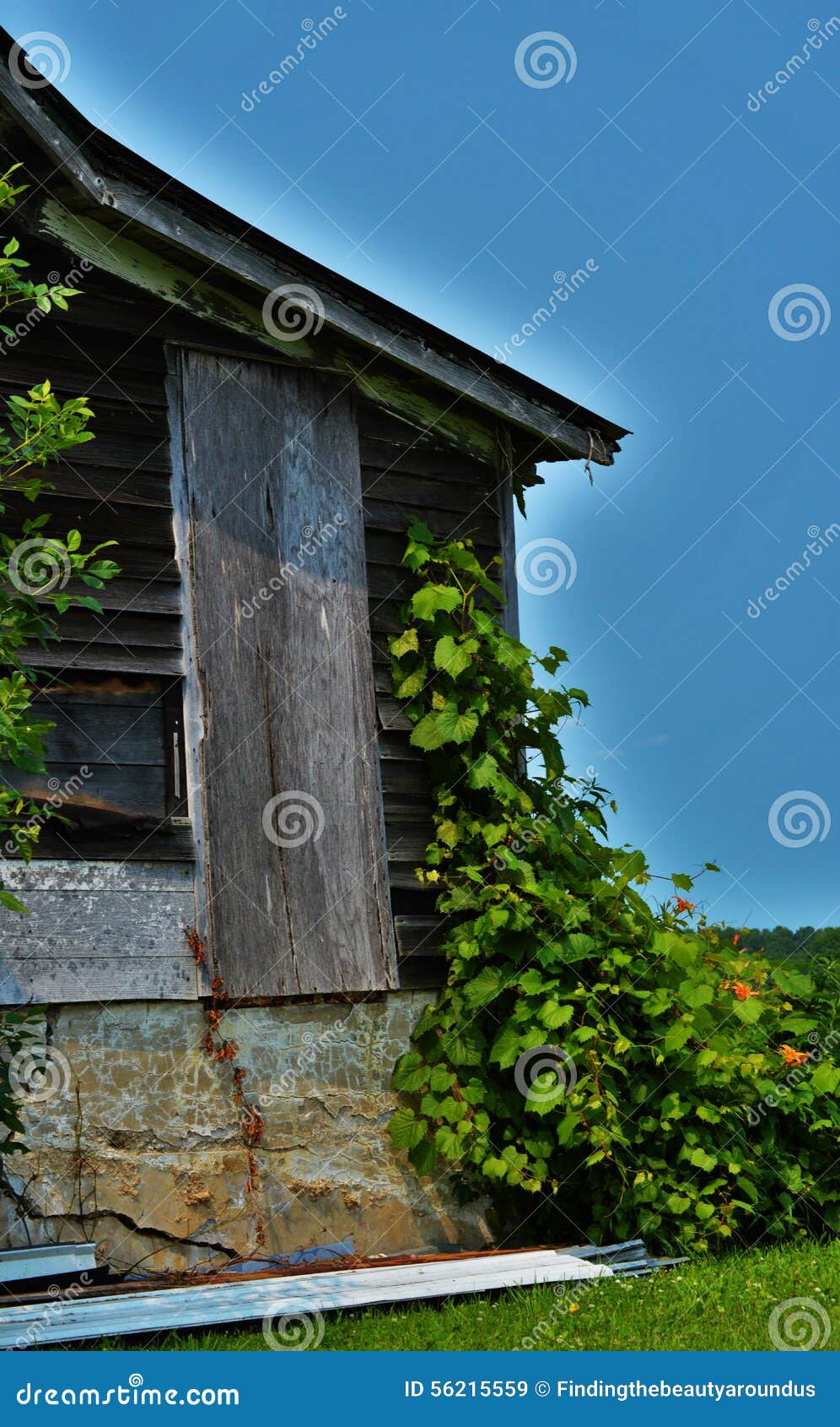Old rundown building stock image. Image of vines, building - 56215559
