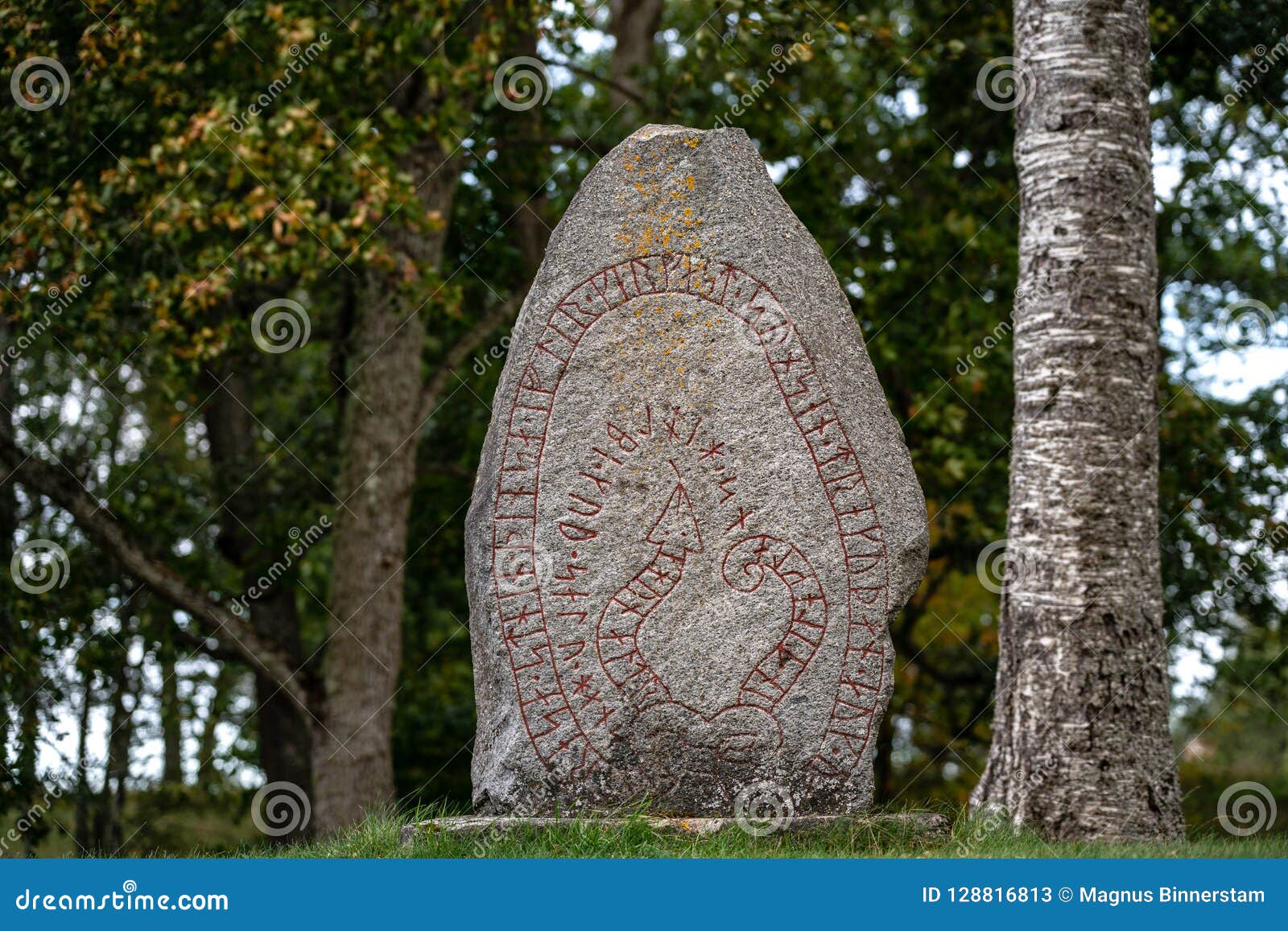 Old Rune Stone with Text in the Shape of a Snake Stock Image - Image of ...