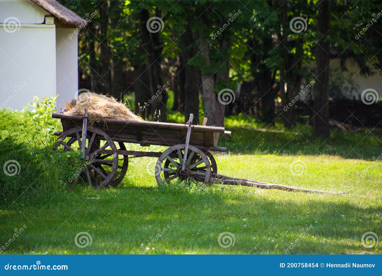 Old Rural Cart for Hay on the Grass Stock Photo - Image of ...