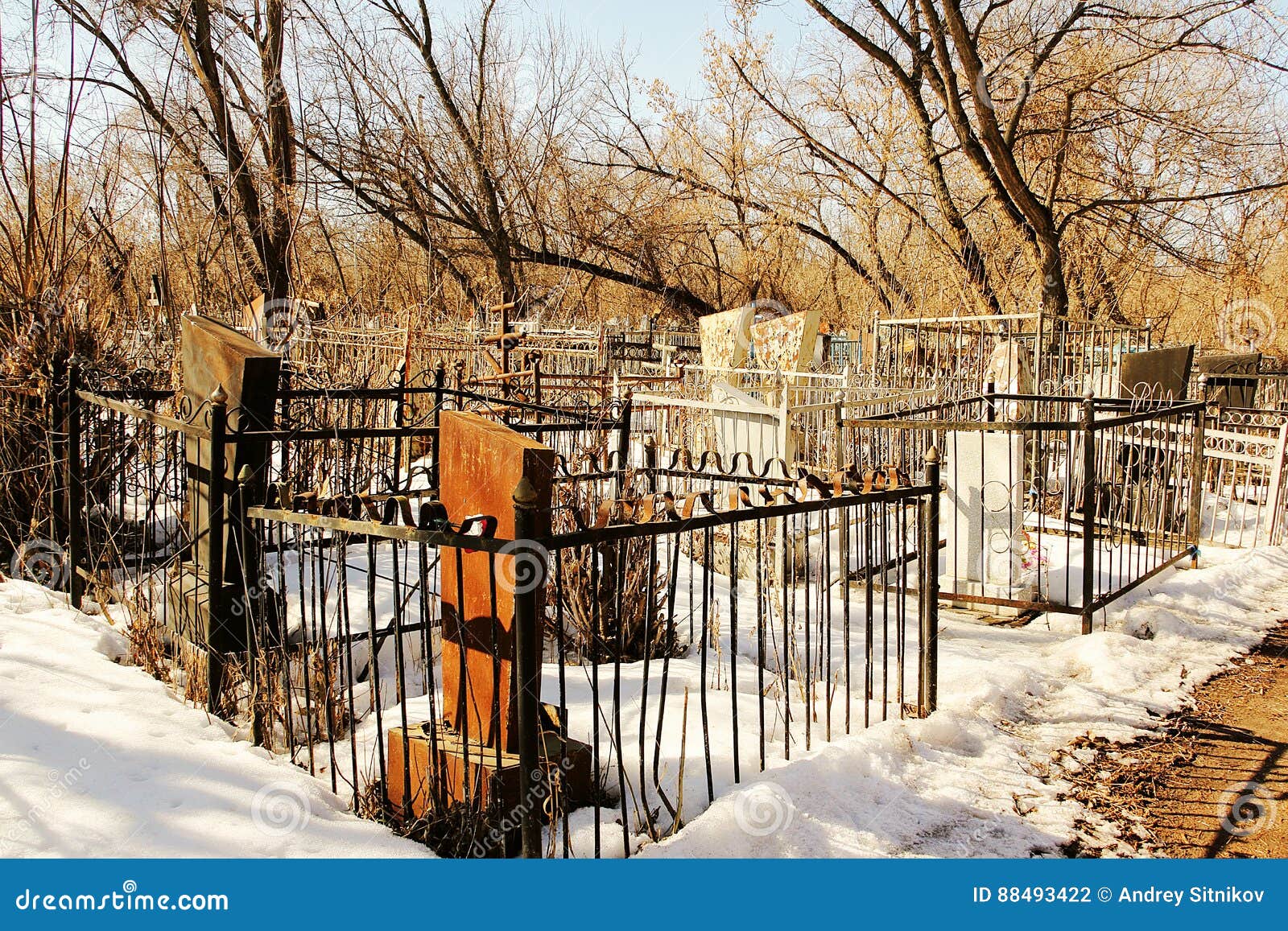An Old Rural Cemetery Overgrown with Trees. Stock Photo - Image of ...