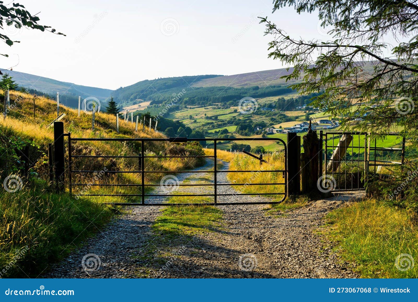 Old Rural Gate in the Wicklow Mountains Stock Photo - Image of grass ...