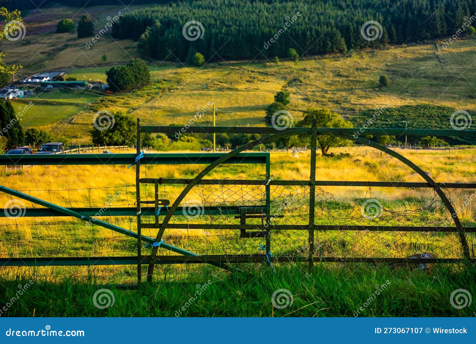 Old Rural Gate in the Wicklow Mountains Stock Image - Image of forest ...