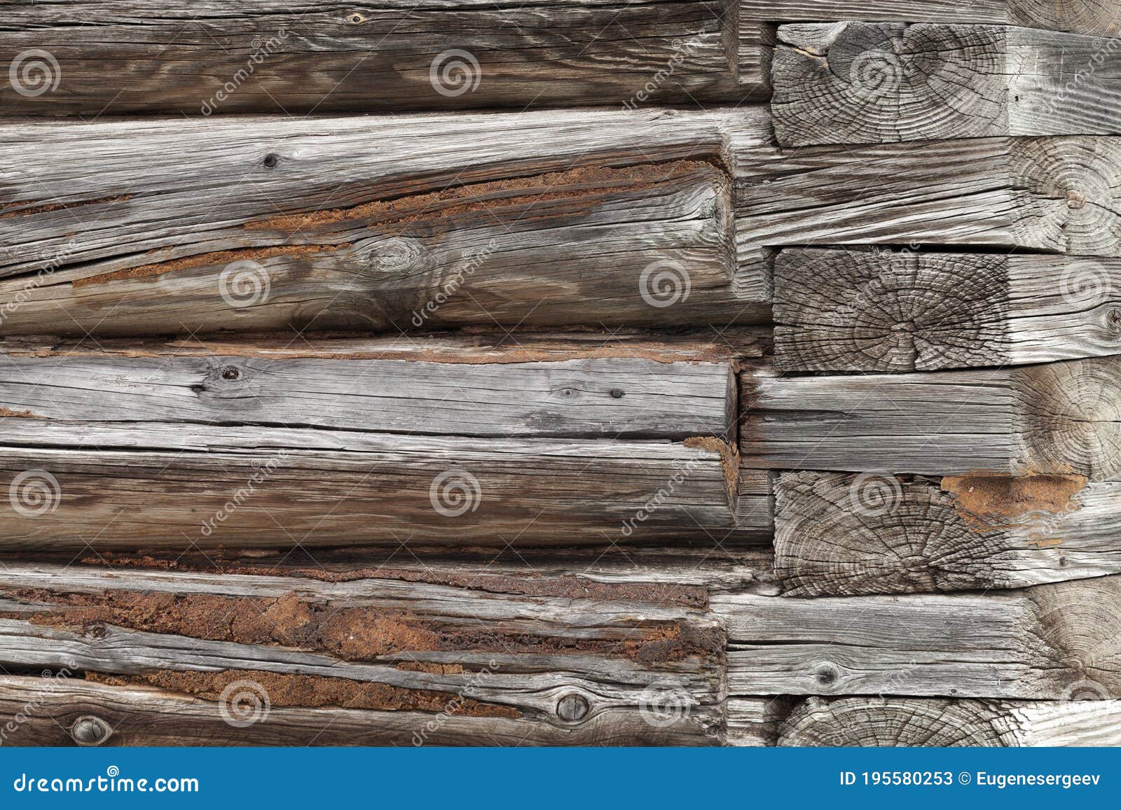 Old Rural House Wall Made of Rough Logs. Texture Stock Image - Image of ...