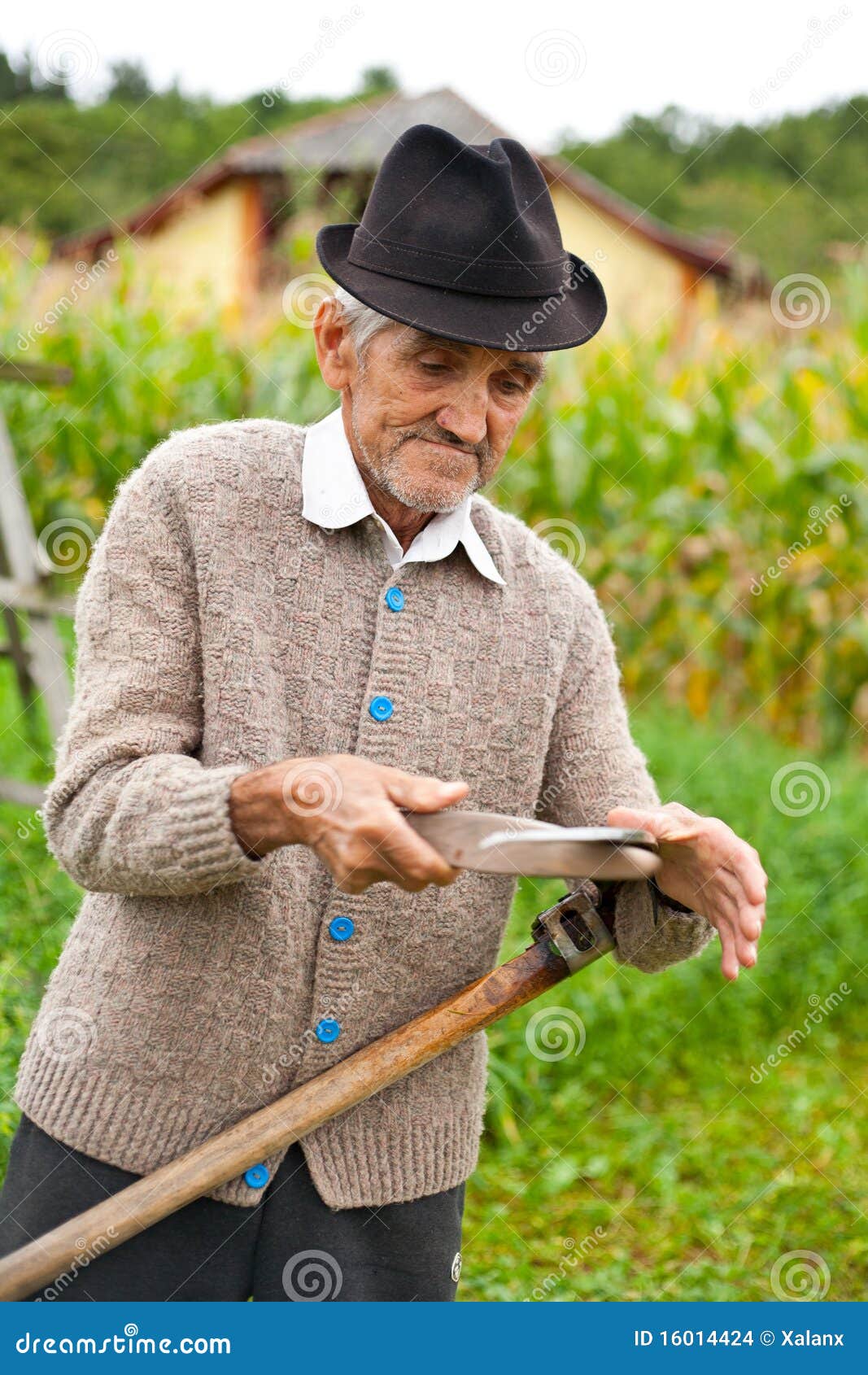 Old rural man using scythe stock photo. Image of domestic - 16014424