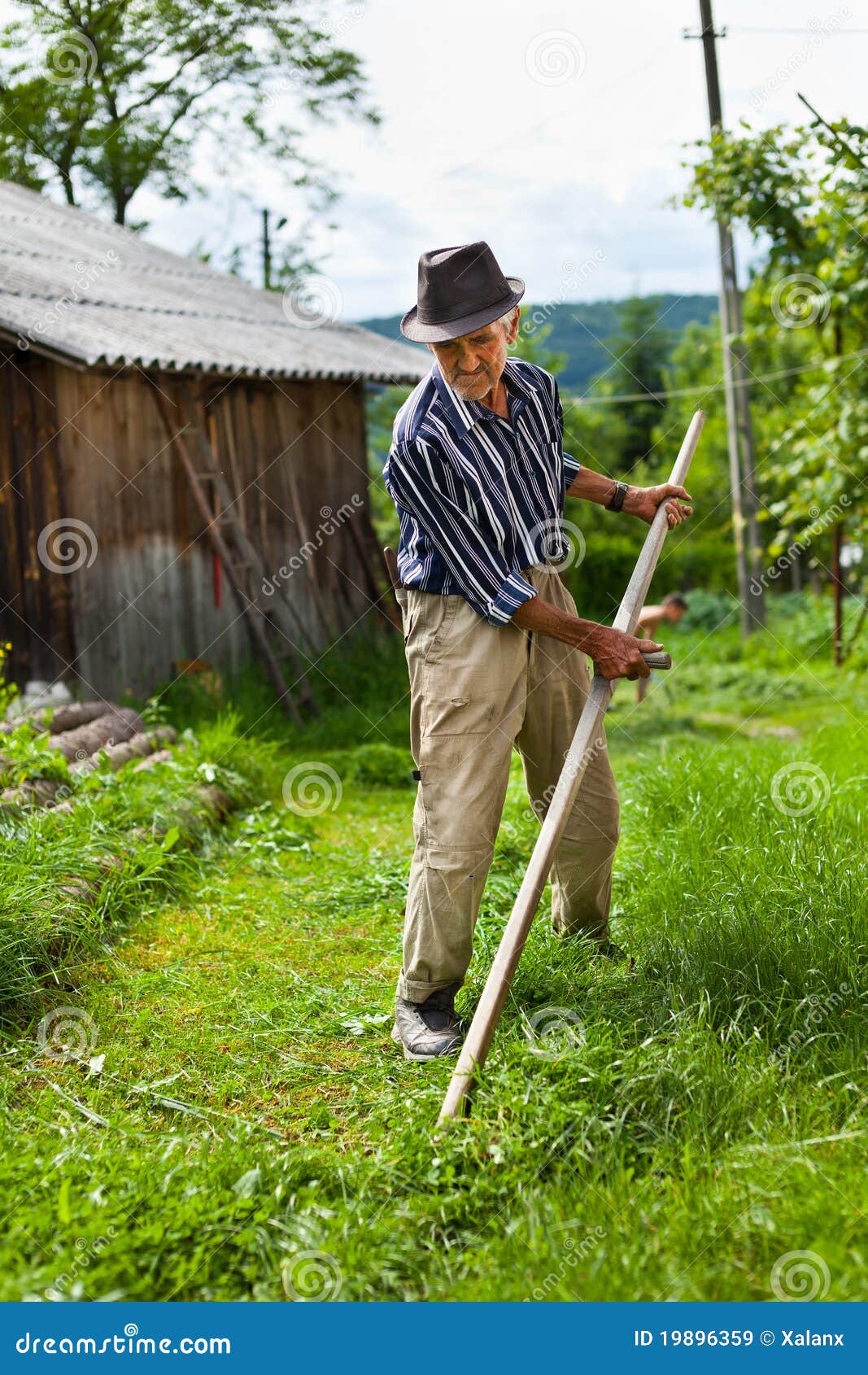 Old rural man using scythe stock image. Image of culture - 19896359