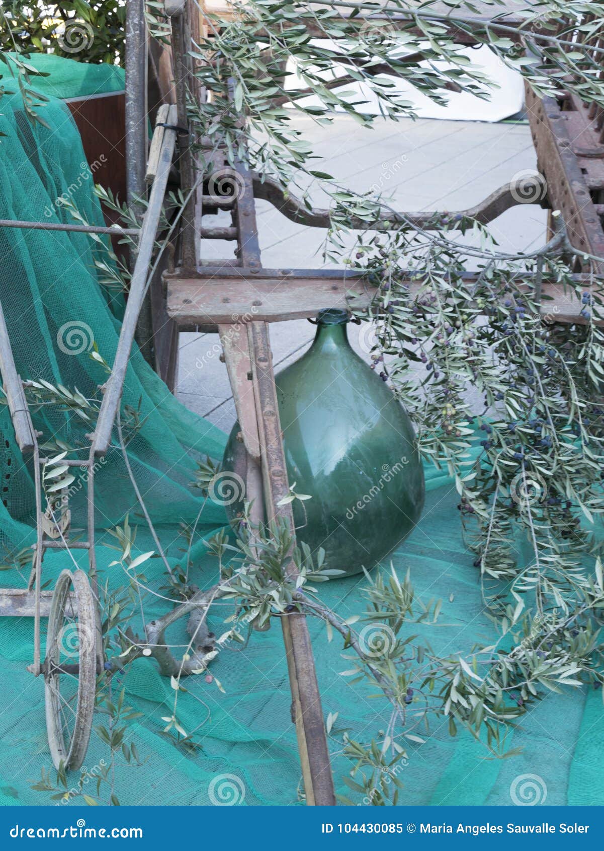 Collection of olives. stock image. Image of utensils - 104430085