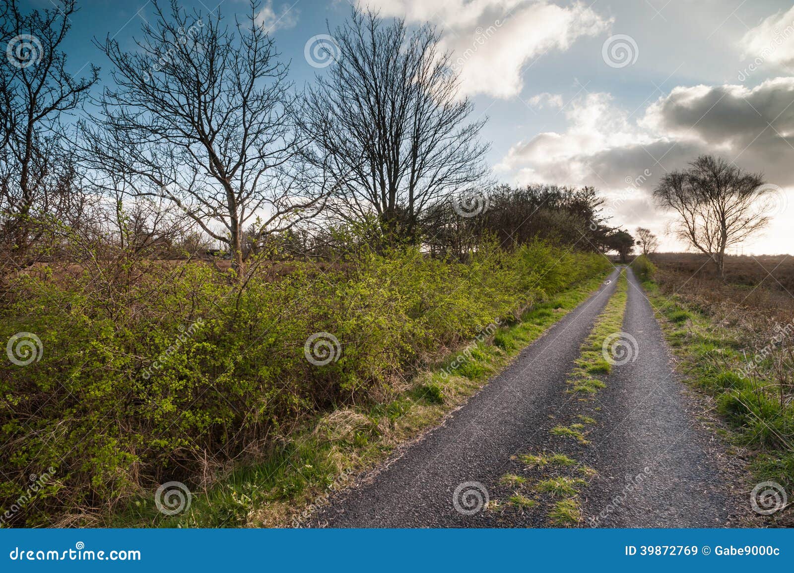 Old Rural Road in the Irish Countryside Stock Image - Image of green ...