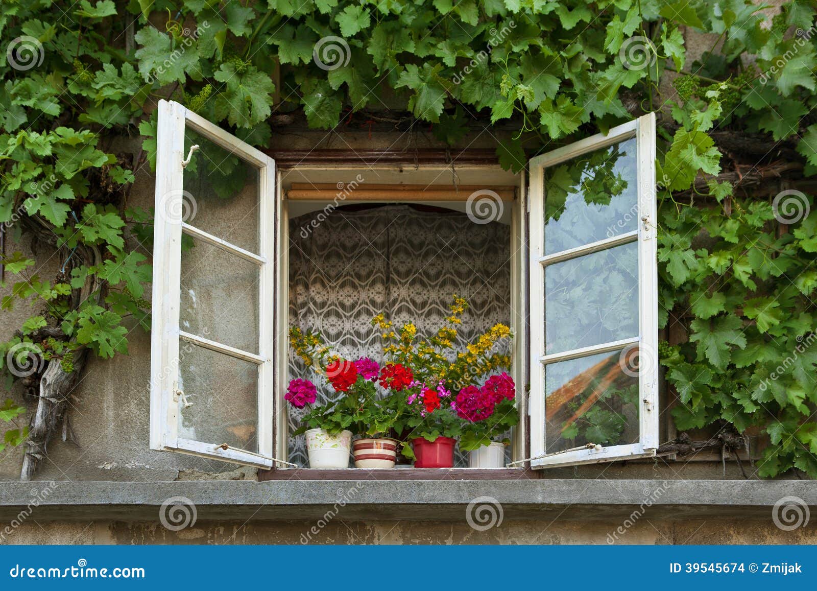 Old rural window stock photo. Image of open, plants, vineyard - 39545674