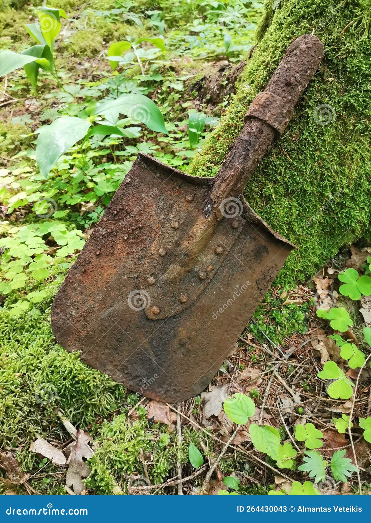 Old russian shovel stock image. Image of russian, green - 264430043