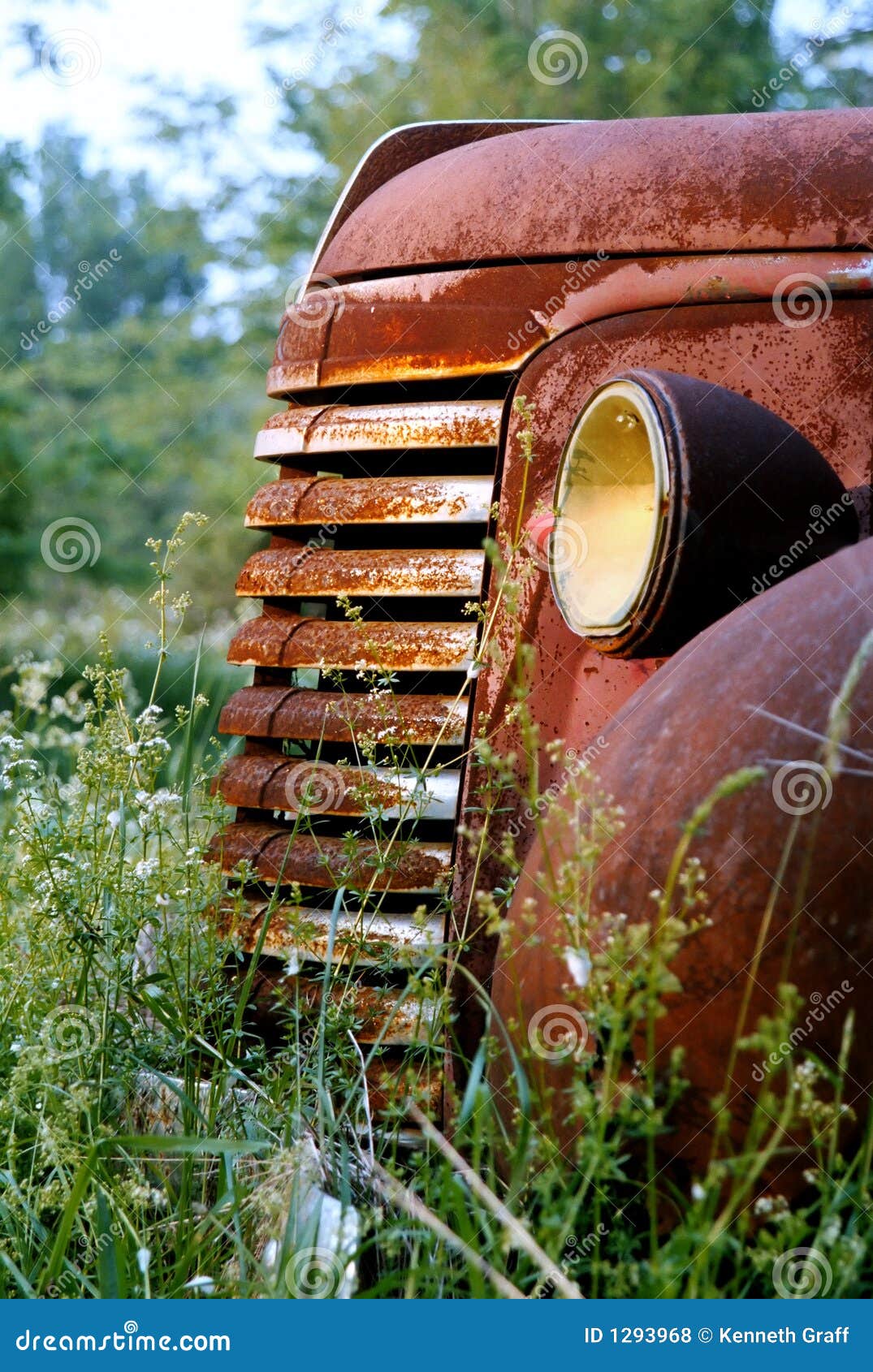 Old rust bucket stock photo. Image of field, sleeping - 1293968
