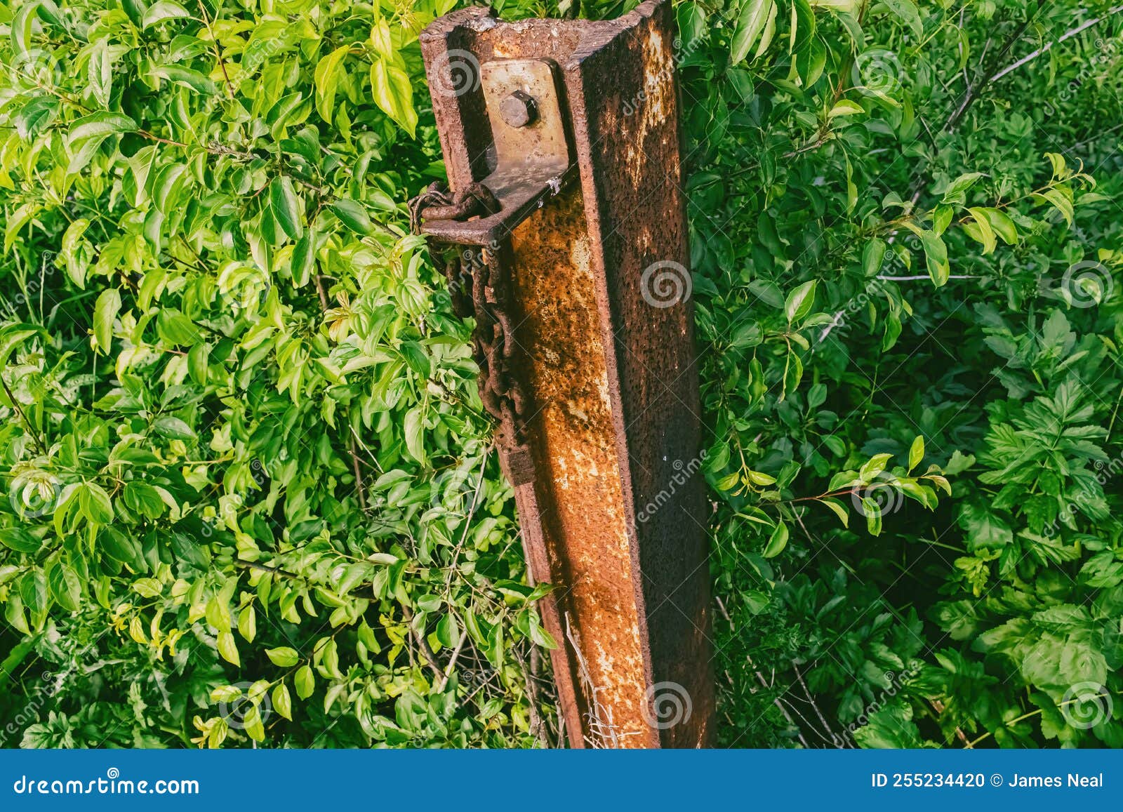 Old rust covered gate post stock photo. Image of lock - 255234420
