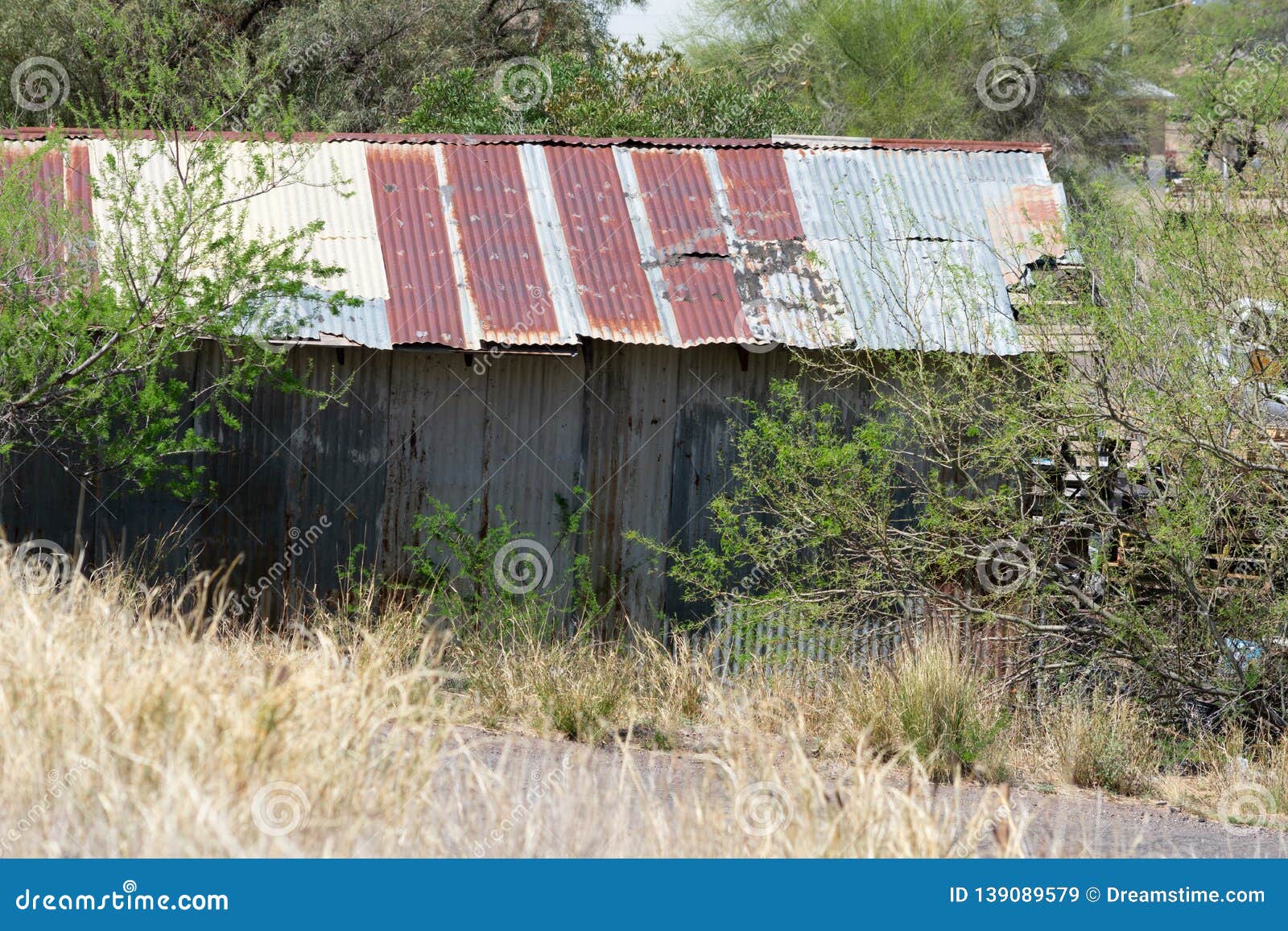 Old Corrugated Metal Building in an Overgrown Yard Stock Image - Image ...