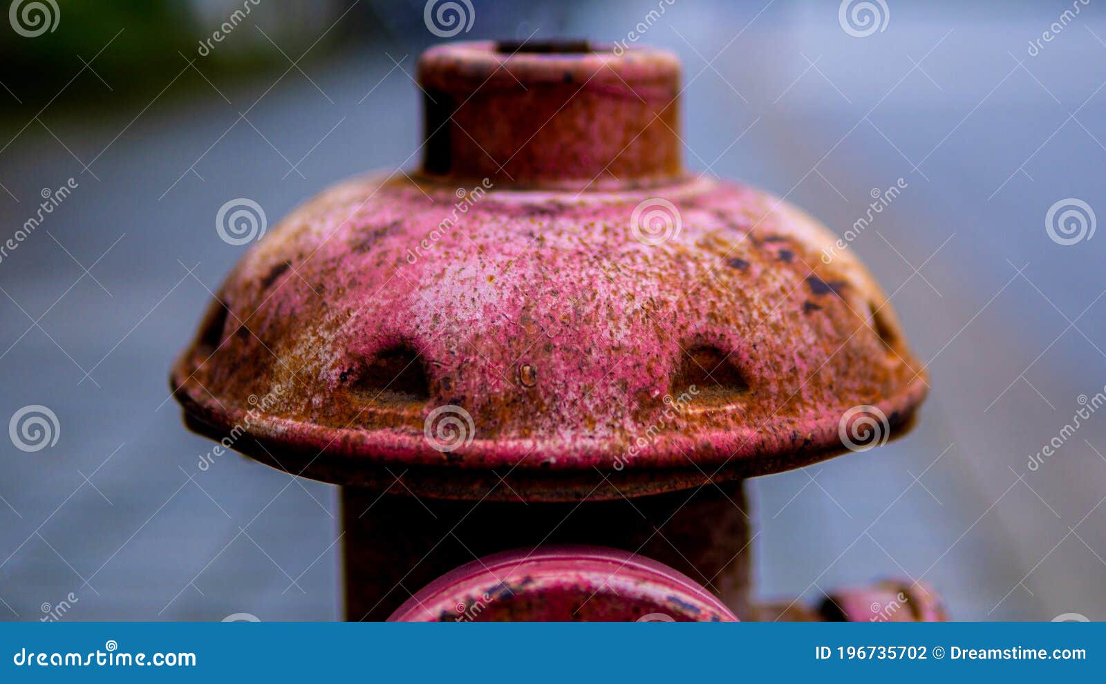 An old rusted fire hydrant stock photo. Image of garden - 196735702