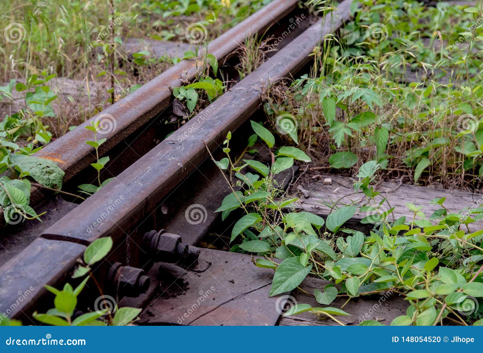 Old rusted railway track stock photo. Image of railway - 148054520
