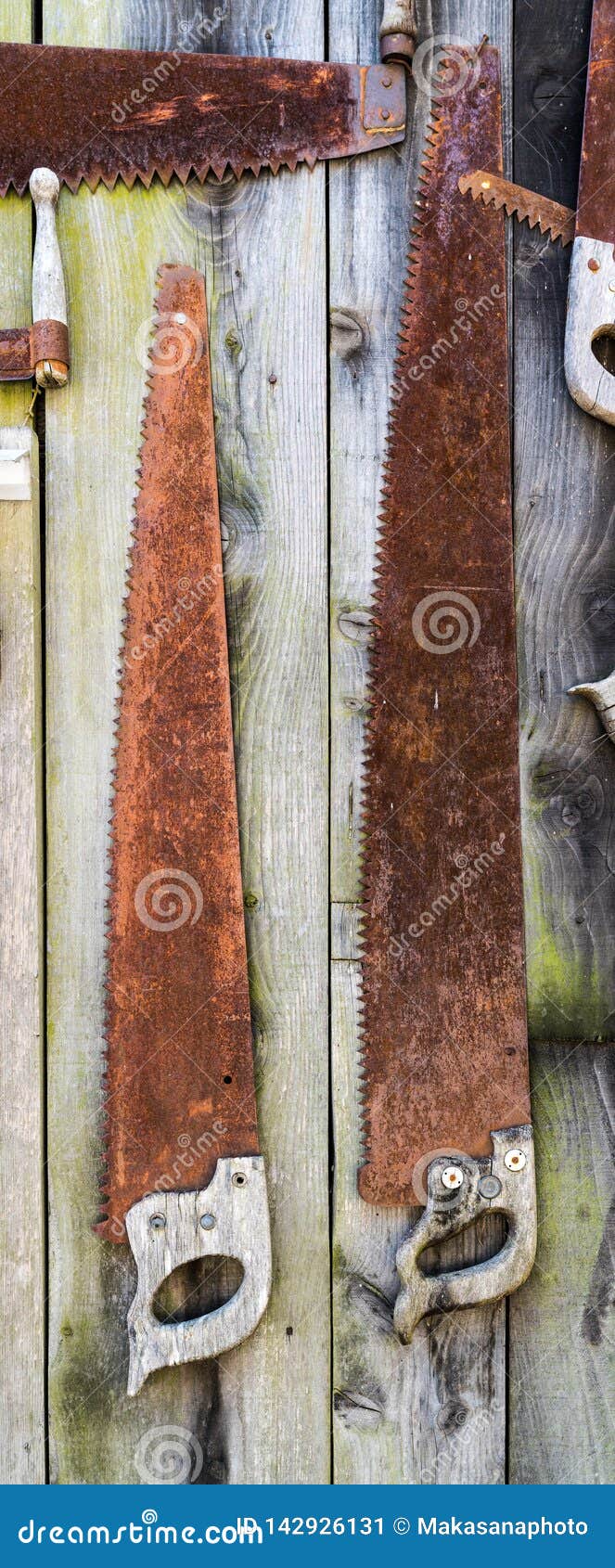 Old Rusted Vintage Saw and Tools Hanging on a Barn Stock Image - Image ...