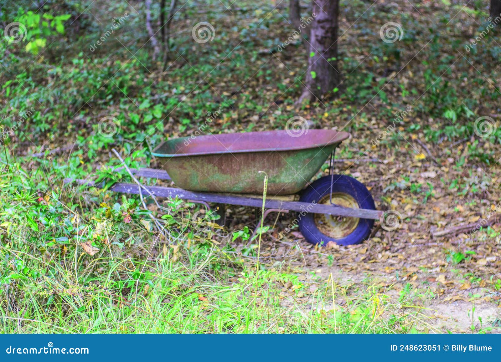 An Old Rusted Vintage Wheel Barrel and Spring Foliage Stock Image ...