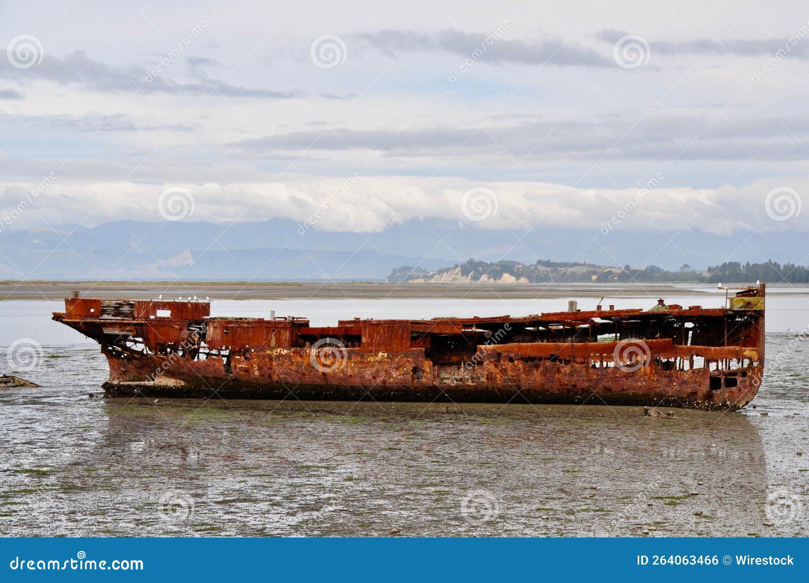 Old Rusted Wrecks of a Ship on the Beach Stock Photo - Image of water ...