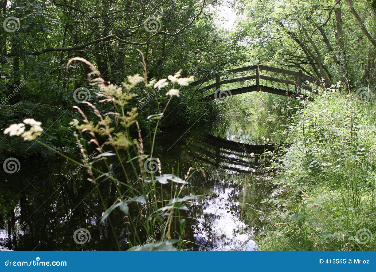 Old Rustic Arch Bridge stock image. Image of green, harmony - 415565