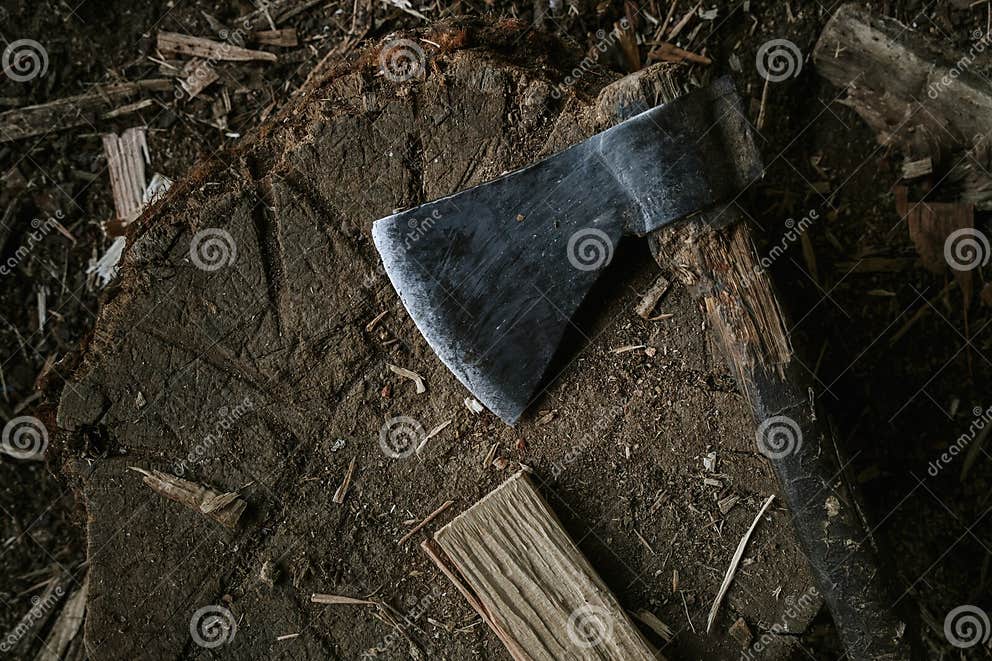 Old Rustic Ax on Wood Stump Stock Image - Image of handle, sawdust ...