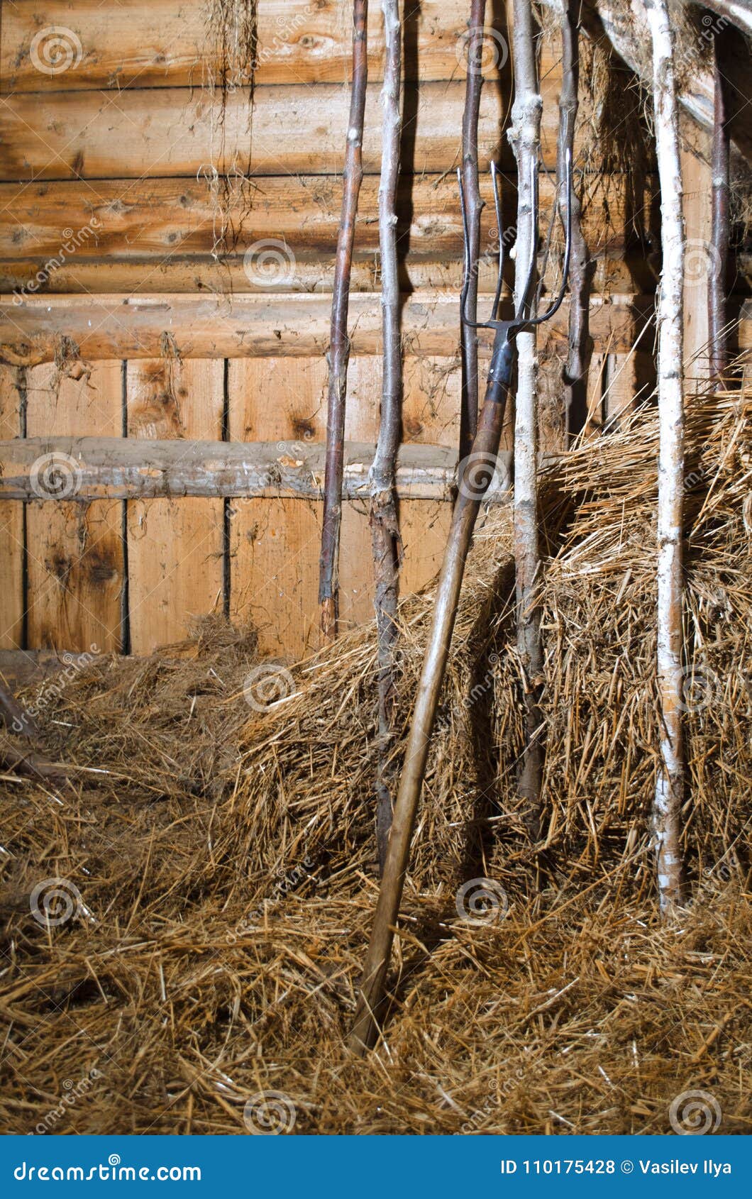 Old Rustic Barn and a Pitchfork Stock Photo - Image of brown, dark ...