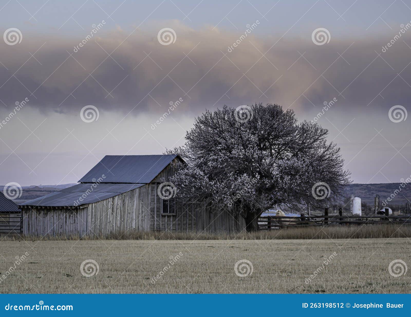 Old Rustic Barn in the Springtime Stock Photo - Image of spring, rustic ...