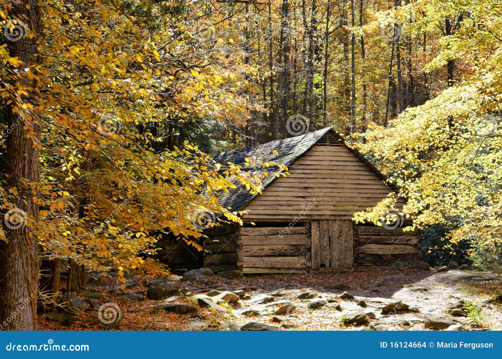 Old Rustic Barn Surrounded by Fall Foliage Stock Photo - Image of ...