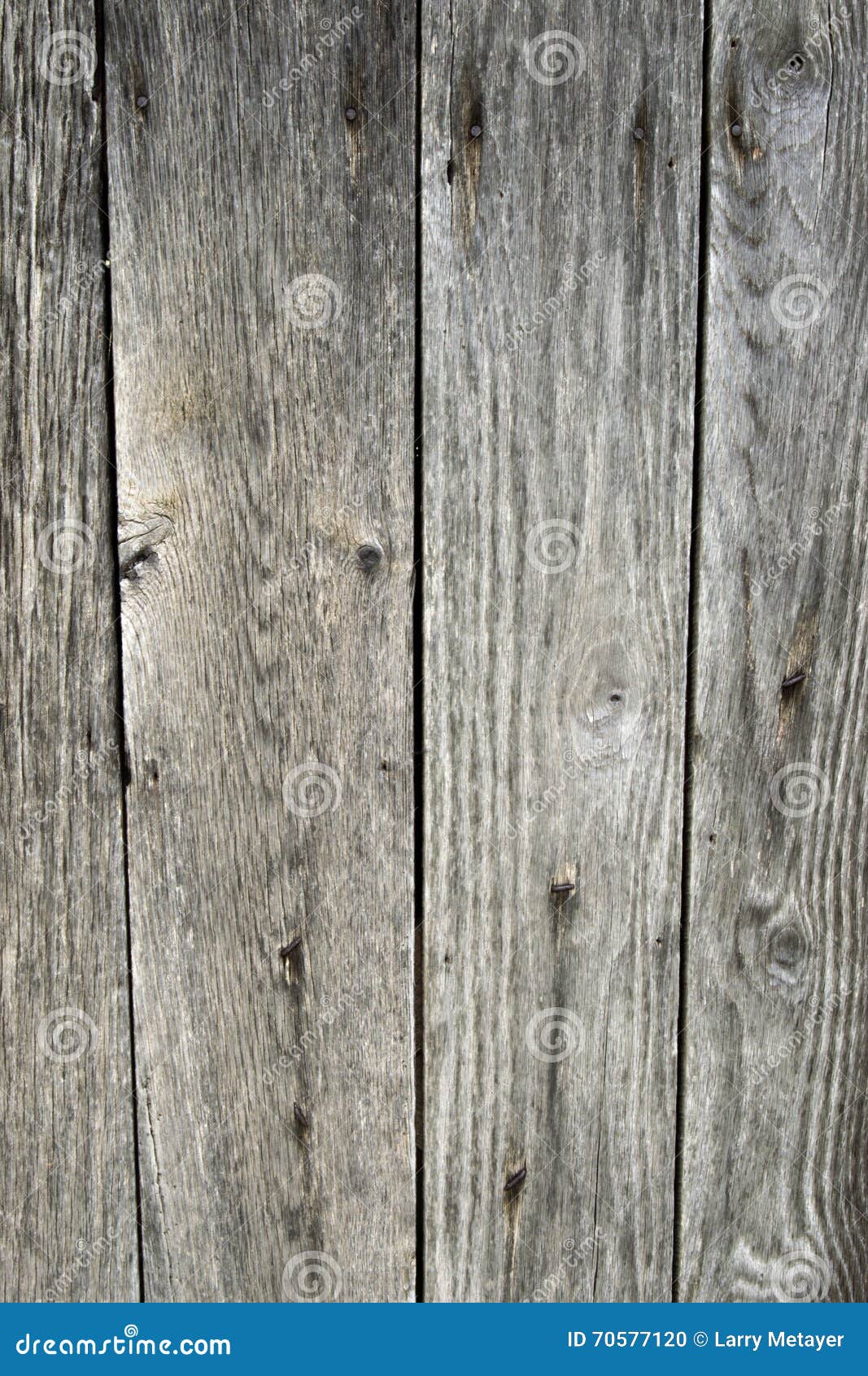 Rustic Barn Interiors Stock Photos - Free & Royalty-Free Stock Photos ...