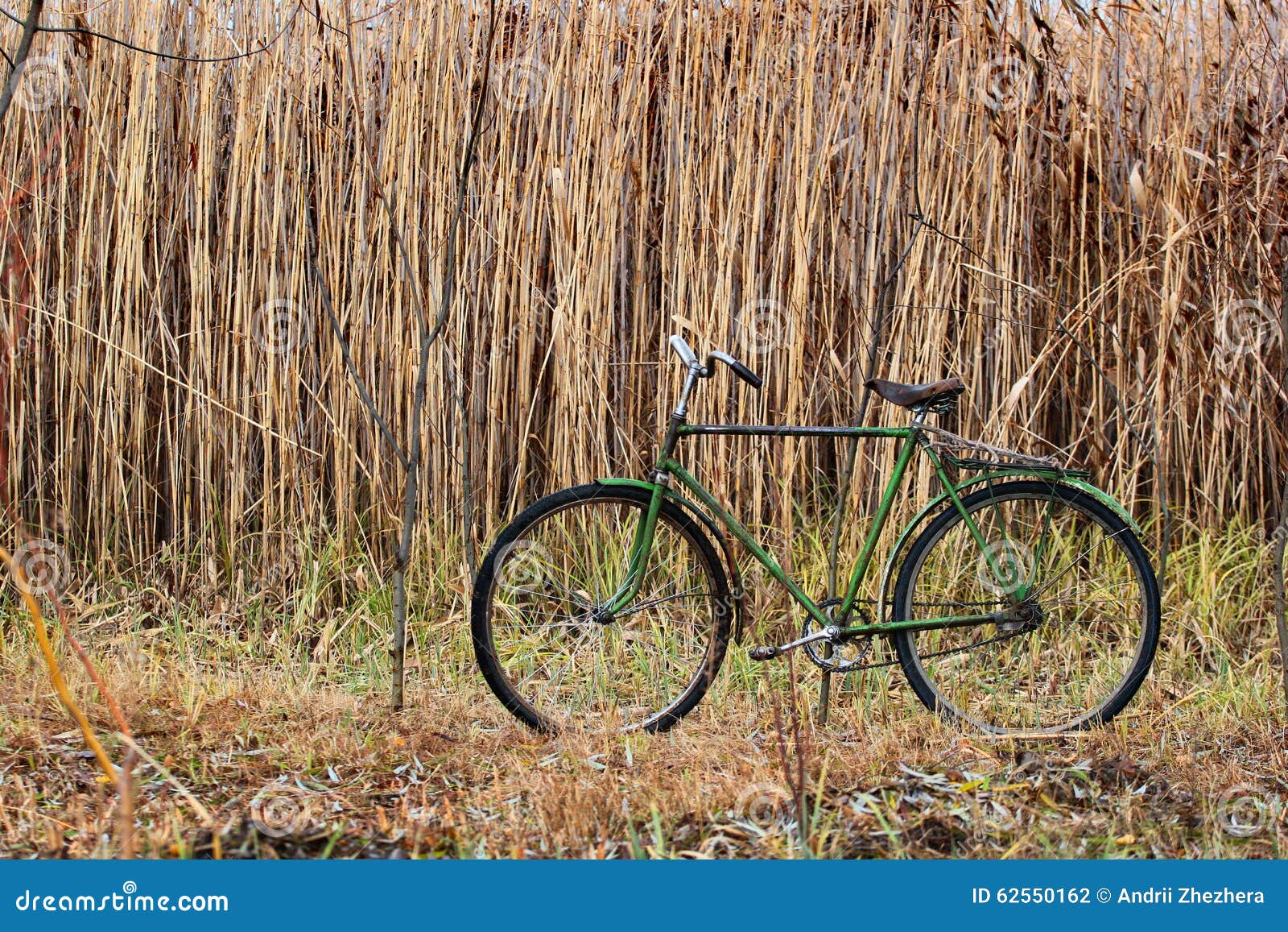 Old Rustic Bike on Dry Reed Background Stock Photo - Image of country ...