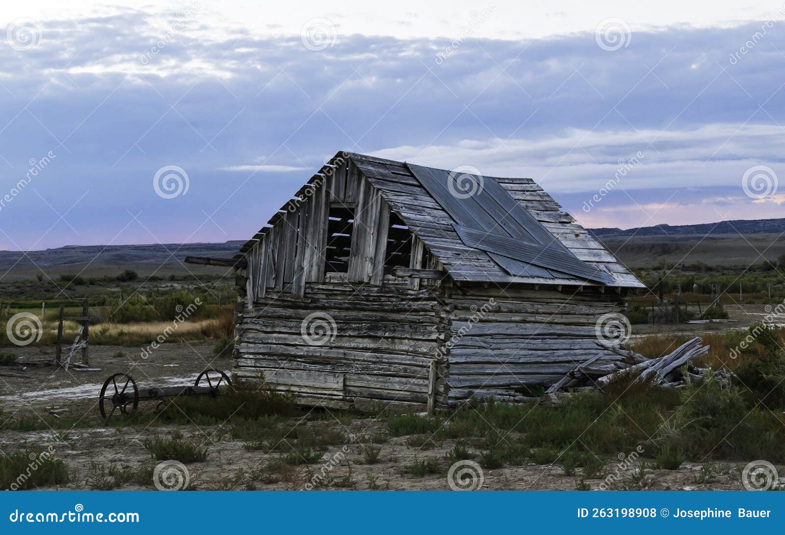Old Rustic Cabin Out in the Bushes Stock Photo - Image of ruins ...