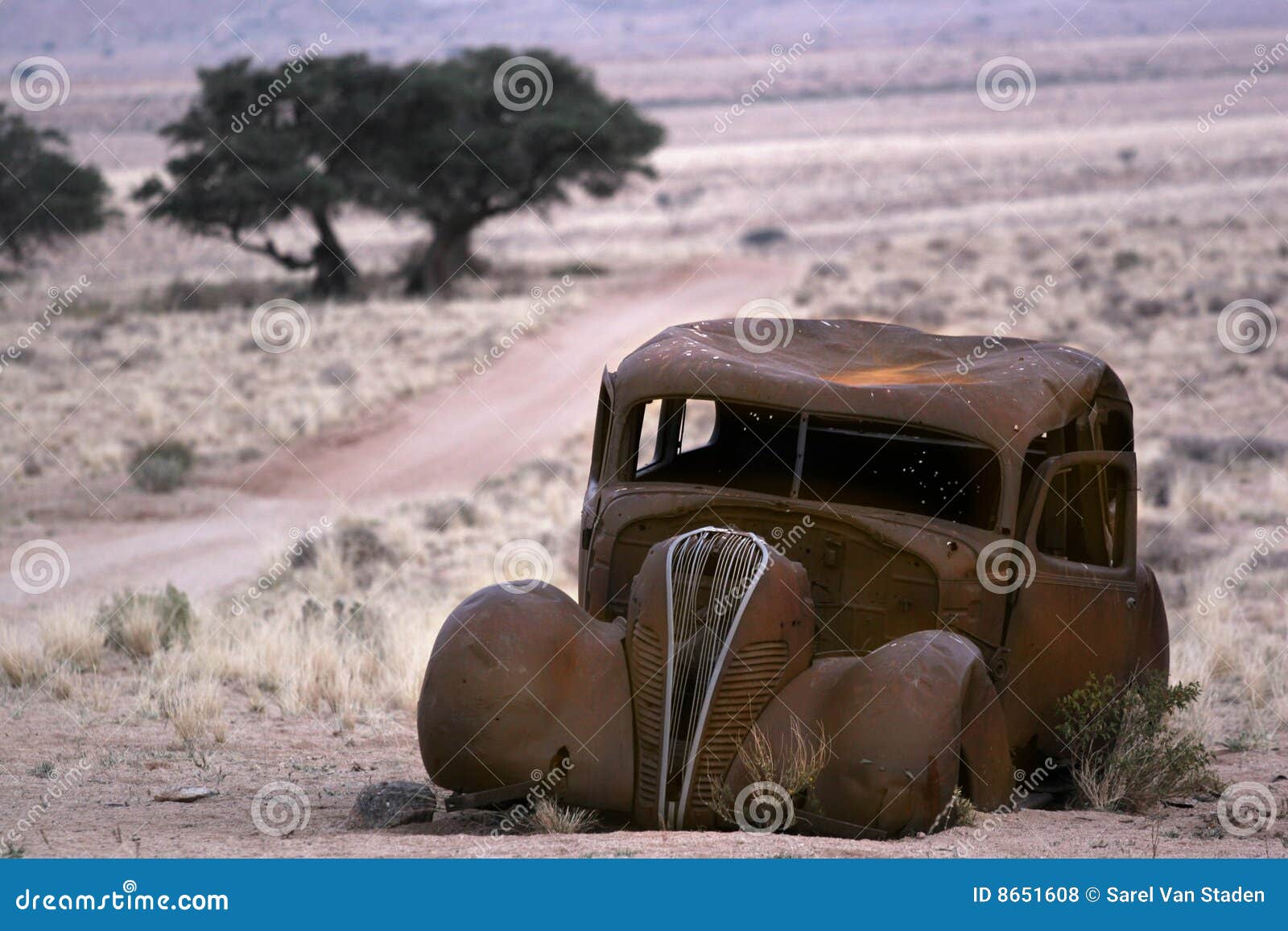 Old rustic car stock photo. Image of green, environment - 8651608