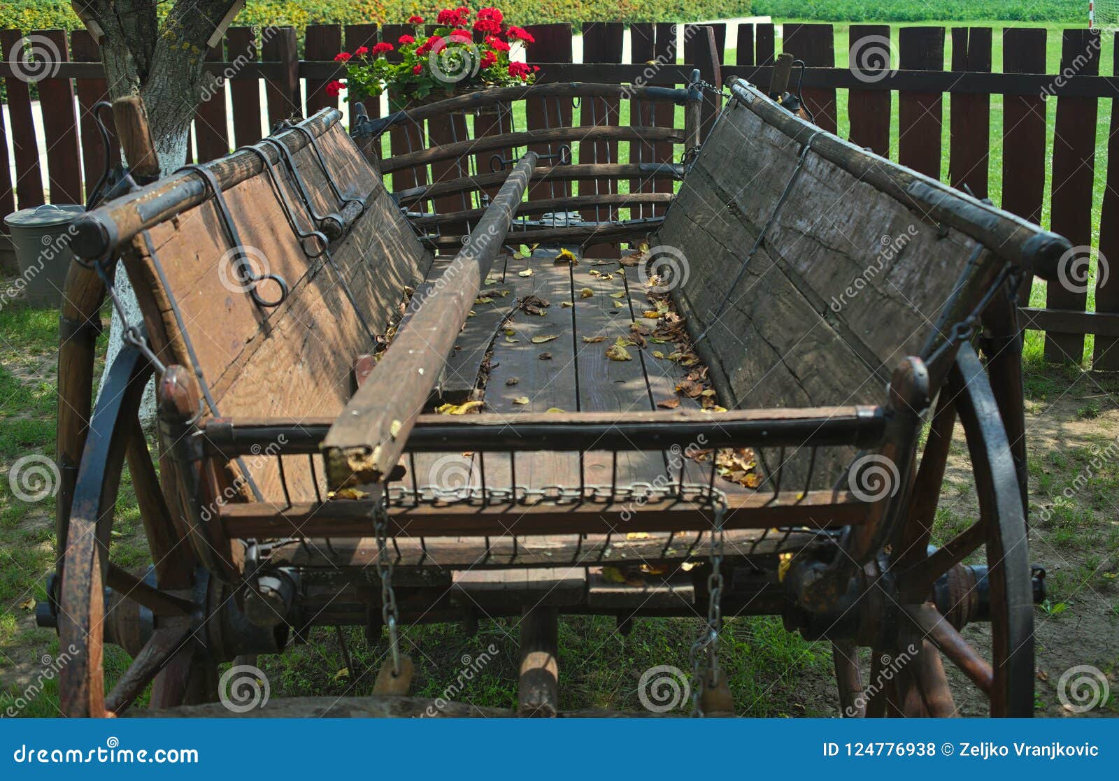 Old Rustic Carriage in Front of Fence in Backyard Stock Photo - Image ...
