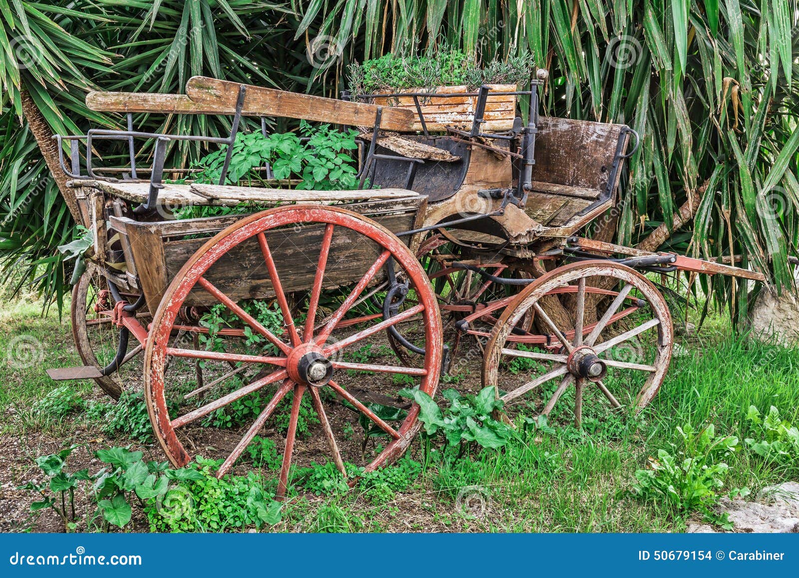 Old rustic carriage stock photo. Image of obsolete, outdoors - 50679154