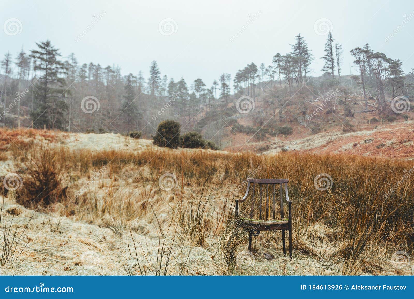 Old Rustic Chair Left in a Field Stock Photo - Image of mountain ...