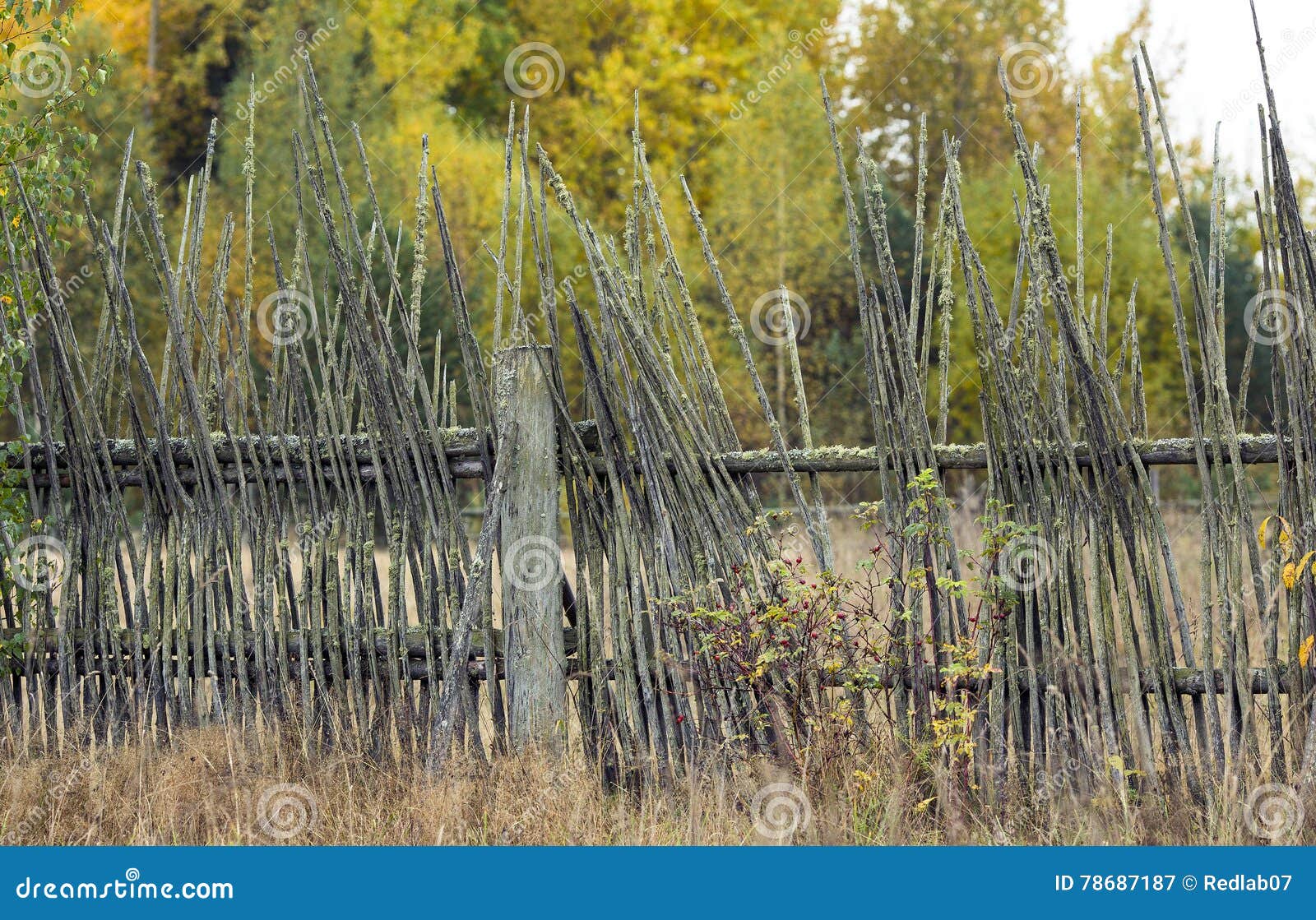 Old rustic fence of twigs stock image. Image of retro - 78687187