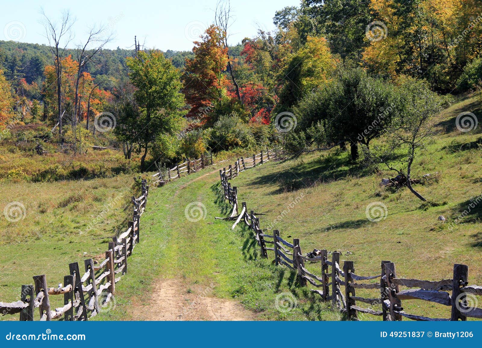 Old Rustic Fencing Lining a Grassy Pathway into the Woods Stock Image ...