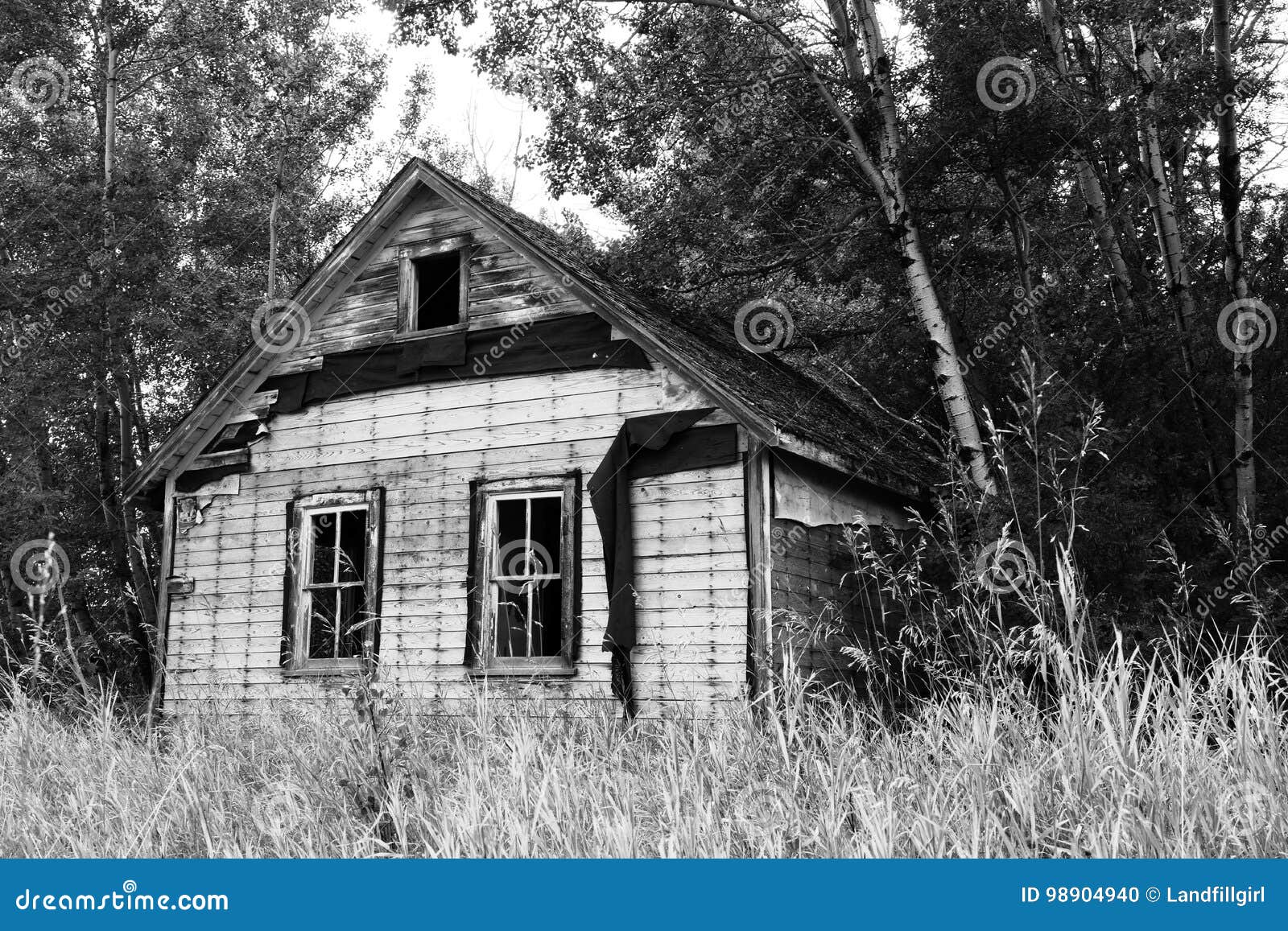 Old Rustic Homestead stock photo. Image of historic, homestead - 98904940