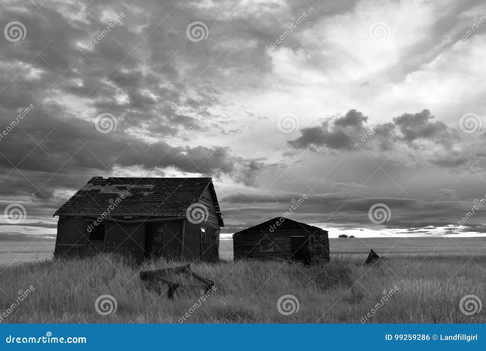 Old Rustic Homestead stock photo. Image of house, dramatic - 99259286