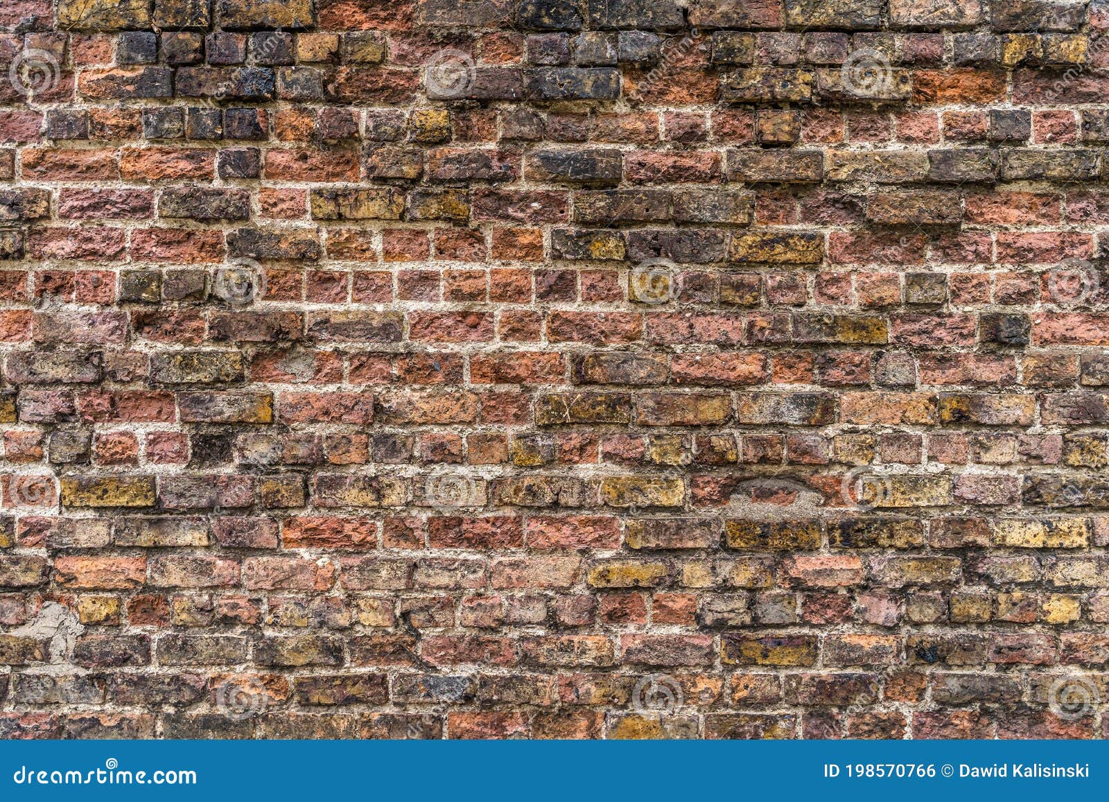 Corroded And Damaged Seasoned Wooden Floor Plank With Scratch Marks ...