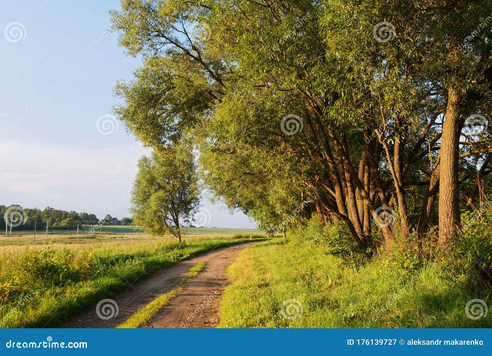 Old Rustic Road in a Field at Sunset Day Stock Image - Image of meadow ...